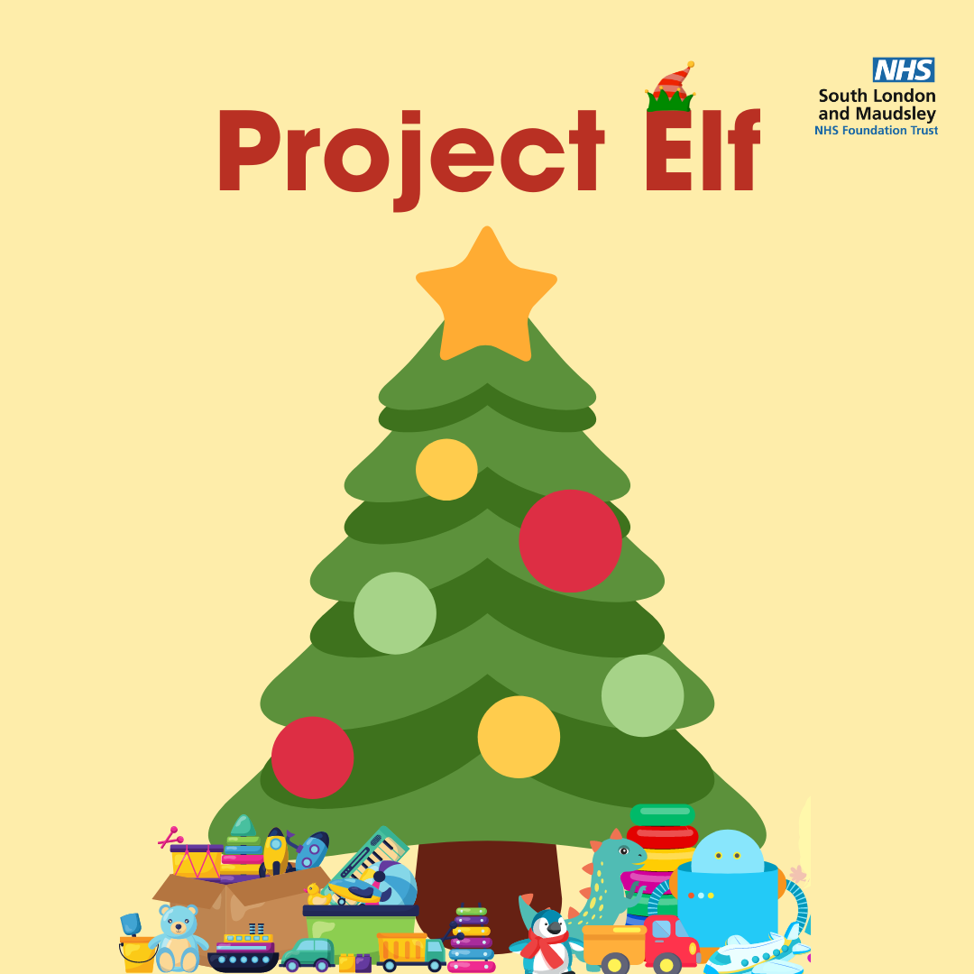 South London and Maudsley Christmas toy appeal | SEL ICS