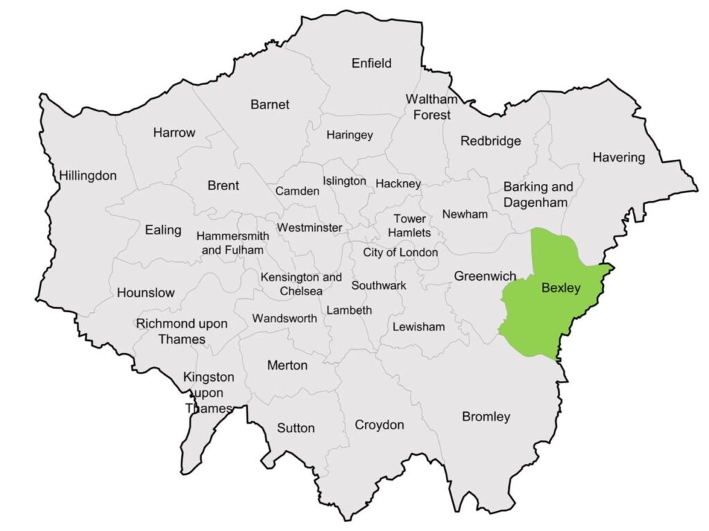 Diana Braithwaite appointed Bexley Place Executive Lead - South East ...