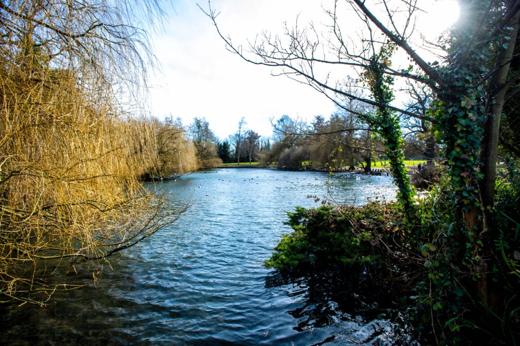 Why come to Bromley? - South East London ICS